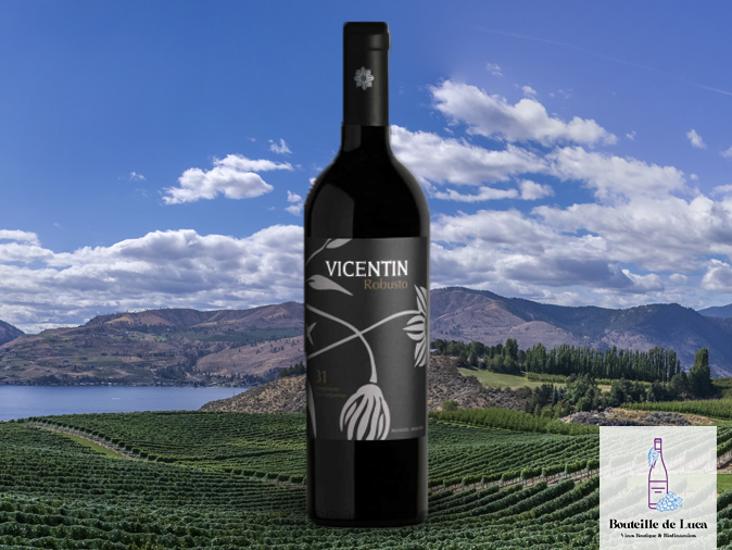 ROBUSTO MALBEC 2018 – Bouteille de Luca